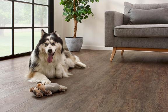 Coretec® Collections